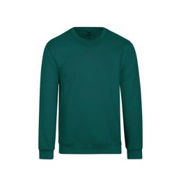 TRIGEMA Sweatshirt &raquo;Sweatshirt&laquo; efeu L L Sweat-Qualit&auml;t