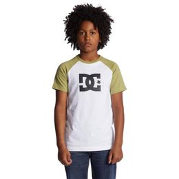 DC Shoes T-Shirt &raquo;DC Star&laquo; White/Sage 12(148-156cm) 12(148-156cm) Stoff: BaumwollStoff [200 g/m2]