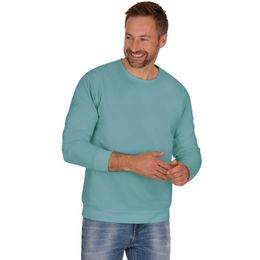 TRIGEMA Sweatshirt &raquo;Sweatshirt&laquo; seegras M M Sweat-Qualit&auml;t