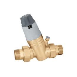 Caleffi Druckminderer 535090 2" AG, mit austauschbarer Kartusche