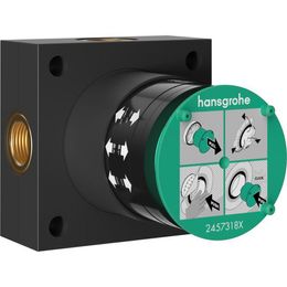 Hansgrohe Grundk&ouml;rper 24573180 f&uuml;r Duschkopf 2 Strahlarten