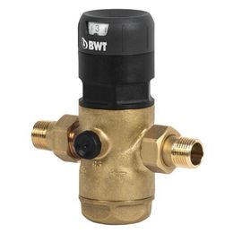 BWT D1 Druckminderer 125300276 1" 85.25