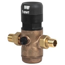 BWT D1 Druckminderer 125300283 1/2" 85.25