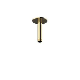 Herzbach LIVING SPA Deckenarm 100mm 70 30.964810.1.03 rund PVD Gold