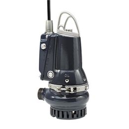GRUNDFOS Schmutzwasserpumpe 96877476 Grauguss, 10 m Kabel, DP10.50.09.E.2.1.502, R 2 AG
