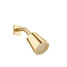 Dornbracht Imo Kopfbrause 28504670-28 schwenkbar, Ausladung 180-210 mm, messing geb&uuml;rstet