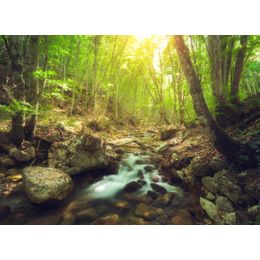 papermoon Fototapete "Forest Creek", B/L: 4m x 2,6m, Bahnen: 8 Stk., bunt, Tapeten