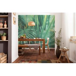 Komar Fototapete "Digitaldruck Vlies - Foggy Fern - Gr&ouml;&szlig;e 400 x 250 cm", Rollen:, gr&uuml;n, Tapeten, Wohnzimmer, Schlafzimmer