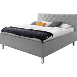 Meise M&ouml;bel Polsterbett MEISE.M&Ouml;BEL, B:170cm L:215cm, grau, Betten, "San Remo", mit Bettkasten