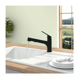 Villeroy & Boch Villeroy und Boch Junis Shower K&uuml;chenarmatur 92810006 schwenkbarer Strahlregler, matt Black