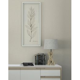 marburg Vliestapete "Tapete Calm Sprinkle", B/L: 0,53m x 10,05m, Rollen: 1, beige, Wohnzimmer, Tapeten, moderne Vliestapete f&uuml;r Wohnzimmer