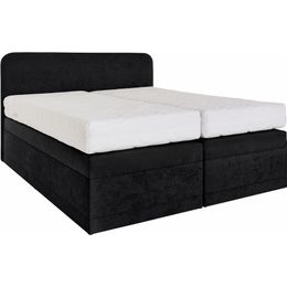 Boxspringbett, B:145cm L:212cm, schwarz, Westfalia Schlafkomfort, Box und Kopfteil: Microvelours (100% Polyester) oder Kunstleder (Polyurethan);Bezug