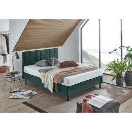 Boxbett, B:142cm L:210cm, gr&uuml;n, ATLANTIC HOME COLLECTION, Komplettbetten, "Nikola", Massivholzf&uuml;&szlig;en, mit / ohne Matratze, in H2 und H3 erh&auml;ltlich
