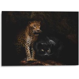 Wandbild Reinders, B:70cm H:50cm, schwarz, Aluminium, Wohnzimmer, Bilder, "Aluminium Wandbild Raubtiere Panther - Cougar - Katzen - H&ouml;hle"
