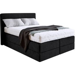 Boxspringbett, B:155cm L:205cm, schwarz, Westfalia Schlafkomfort, Microvelours (100% Polyester), Komplettbetten, wahlweise mit Kaltschaum-Topper