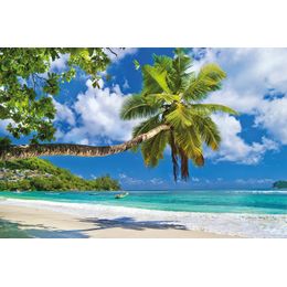 papermoon Fototapete "Seychelles Palm Beach", B/L: 350m x 260m, Bahnen: 7 Stk., bunt, Tapeten