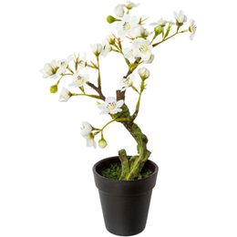 Kunstblume Creativ green, H:26cm, wei&szlig;, Kunststoff, Kunstpflanzen, "Mandelbonsai im Topf"