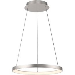 Paul Neuhaus Pendelleuchte "HOOP", 1, Ø 57cm H: 40cm, 1 Stk., grau, Esszimmer, Leuchten, LED, dimmbar, Simply Dim, Memory, nach Trennung vom Netz,