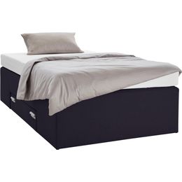 Boxspringbett, B:120cm L:200cm, schwarz, Westfalia Schlafkomfort, Bezug Bett: Feinstrukturstoff (77% Polyester, 23%Viskose) oder Microfaser (100%