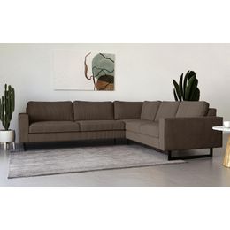 Ecksofa Home Affaire, B:290cm H:85cm T:250cm, braun, 92% Polyester, 8% Nylon, Wohnzimmer, Sofas, "Pinto, XXL, 250/290 cm, langer Schenkel, Ottomane",