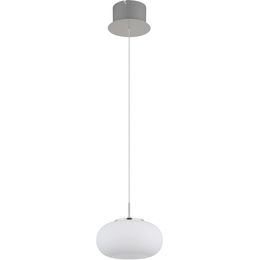 Globo LIGHTING LED-Hängeleuchte "QUINTARA", 1, Ø 20cm, 1 Stk.nickel matt, Leuchten, Pendelleuchte, Essbereich, Wohnzimmer, Höhenverstellbar, Glas opal