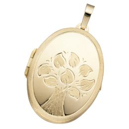 Jobo Damen Medallionanh&auml;nger "Anh&auml;nger Medaillon oval", Gelbgold 585, gelb, Gelbgold 585, Schmuckanh&auml;nger, 585 Gold