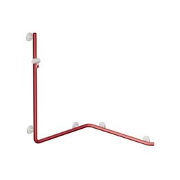 HEWI System 800 K Duschhandlauf 950.35.2409933 1250mm, Brausehalter, St&uuml;tzen und Rosetten reinwei&szlig;, rubinrot