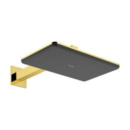 Hansgrohe Raindance Alive Q Duschkopf 24551990 2 Strahlarten wassersparend mit Brausearm, EcoSmart, polished gold optic
