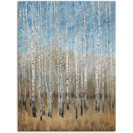 Leinwandbild Artland, B:90cm H:120cm T:1,8cm, beige, Leinwand, Wohnzimmer, Bilder, "Staubige blaue Birken II", auf Holzrahmen gespannt