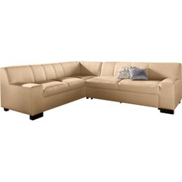 Ecksofa DOMO collection, B:247cm H:77cm T:212cm, braun, Wohnzimmer, Sofas, "Norma Top, elegant und modern, flache Armlehnen, L-Form", wahlweise mit