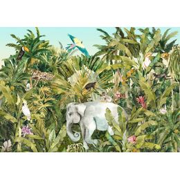 Komar Vliestapete "Digitaldruck Vlies - Jungle Expedition - Gr&ouml;&szlig;e 400 x 280 cm", B/L: 400mm x 280mm, Rollen:, bunt, Wohnzimmer, Tapeten, Kinderzimmer