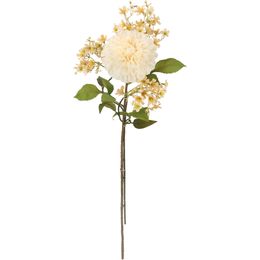 Kunstblume I.GE.A., B:25cm H:74cm L:14cm, beige, Polyester, Kunstpflanzen, "Stielblumen-Sortiment Dahlie Bl&uuml;tenzweig", Zweig Seidenblume Einzelblume