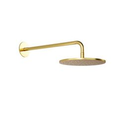 Steinberg Serie 100 Regenbrause 1001686BG &Oslash; 250 x 8 mm, Brushed Gold, mit Easy-clean System
