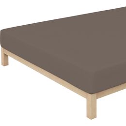 Spannbettlaken Schlafgut, beige, Mako-Zwirn-Jersey, Obermaterial: 95% Baumwolle, 5% Elasthan, Bettlaken, "Premium", Zero Waste Verpackung, PREMIUM