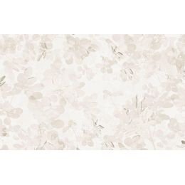 Komar Vliestapete "Digitaldruck Vlies - Sheer Grey - Gr&ouml;&szlig;e 400 x 250 cm", B/L: 400mm x 250mm, Rollen:, grau, Wohnzimmer, Tapeten, Wohnzimmer,