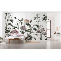 Komar Fototapete "Digitaldruck Vlies - Paradis de Papillons - Gr&ouml;&szlig;e 400 x 250 cm", Rollen:, gr&uuml;n, Tapeten, Wohnzimmer, Schlafzimmer