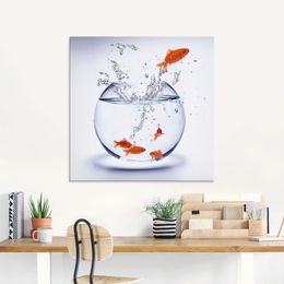 Glasbild Artland, B:40cm H:40cm, wei&szlig;, K&uuml;che, Bilder, "Goldfischaquarium", in verschiedenen Gr&ouml;&szlig;en
