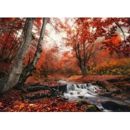 papermoon Fototapete "Foggy Forest Creek", B/L: 3,5m x 2,6m, Bahnen: 7 Stk., bunt, Tapeten