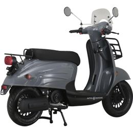 Alpha Motors Motorroller "Adria", ohne Topcase, 45 km/h, grau, Motorroller, mit Lenkerschloss und Windschild