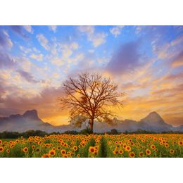 papermoon Fototapete "Sunflower Field", B/L: 3,5m x 2,6m, Bahnen: 7 Stk., bunt, Tapeten