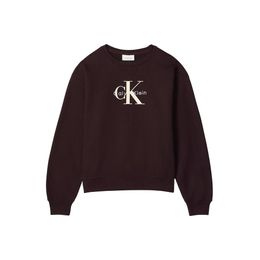 Calvin Klein Jeans Sweatshirt female Brown size XXL