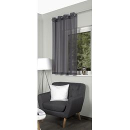 Vorhang HOME BASICS, B:140cm H:145cm, grau, Voile, Polyester, Wohnzimmer, Gardinen, "DOLLY", Ösenschal DOLLY