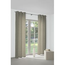 Vorhang WIRTH, B:132cm H:175cm, braun, Jacquard, Baumwolle, Polyester, Wohnzimmer, Gardinen, "Torbole"