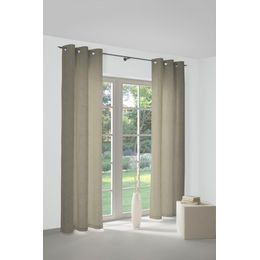 Vorhang WIRTH, B:132cm H:145cm, braun, Jacquard, Baumwolle, Polyester, Wohnzimmer, Gardinen, "Torbole"