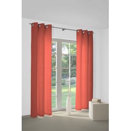 Vorhang WIRTH, B:127cm H:225cm, rot, Baumwolle, Wohnzimmer, Gardinen, "WIRTHNatur", 2-lagig