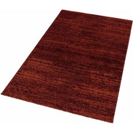Teppich Astra, B:80cm H:20mm L:150cm, rot, Kunstfaser, Wohnzimmer, Teppiche, "Samoa Melange", hochwertiger Kurzflor, Wohnzimmer, in vielen Farben