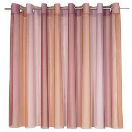 Gardine WIRTH, B:140cm H:175cm, rot, Polyester, Wohnzimmer, Gardinen, "Eloise", Store