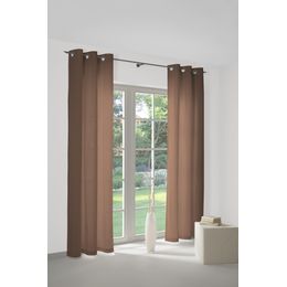 Vorhang WIRTH, B:132cm H:175cm, braun, Polyester, Wohnzimmer, Gardinen, "SUNBONE"