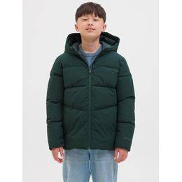 Jack & Jones Jungen Steppjacke "JJGLOBAL PUFFER JACKET JNR", gr&uuml;n, Gr. 140, JACK & JONES JUNIOR, unifarben, Web, Obermaterial: 100% Polyester, Jacken