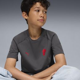 Puma Kinder T-Shirt "AC Milan PumaTECH Pocket T-Shirt Jugendliche", grau, Gr. 164, clean, Obermaterial: 65% Polyester, 35% Baumwolle. Rippe: 70%